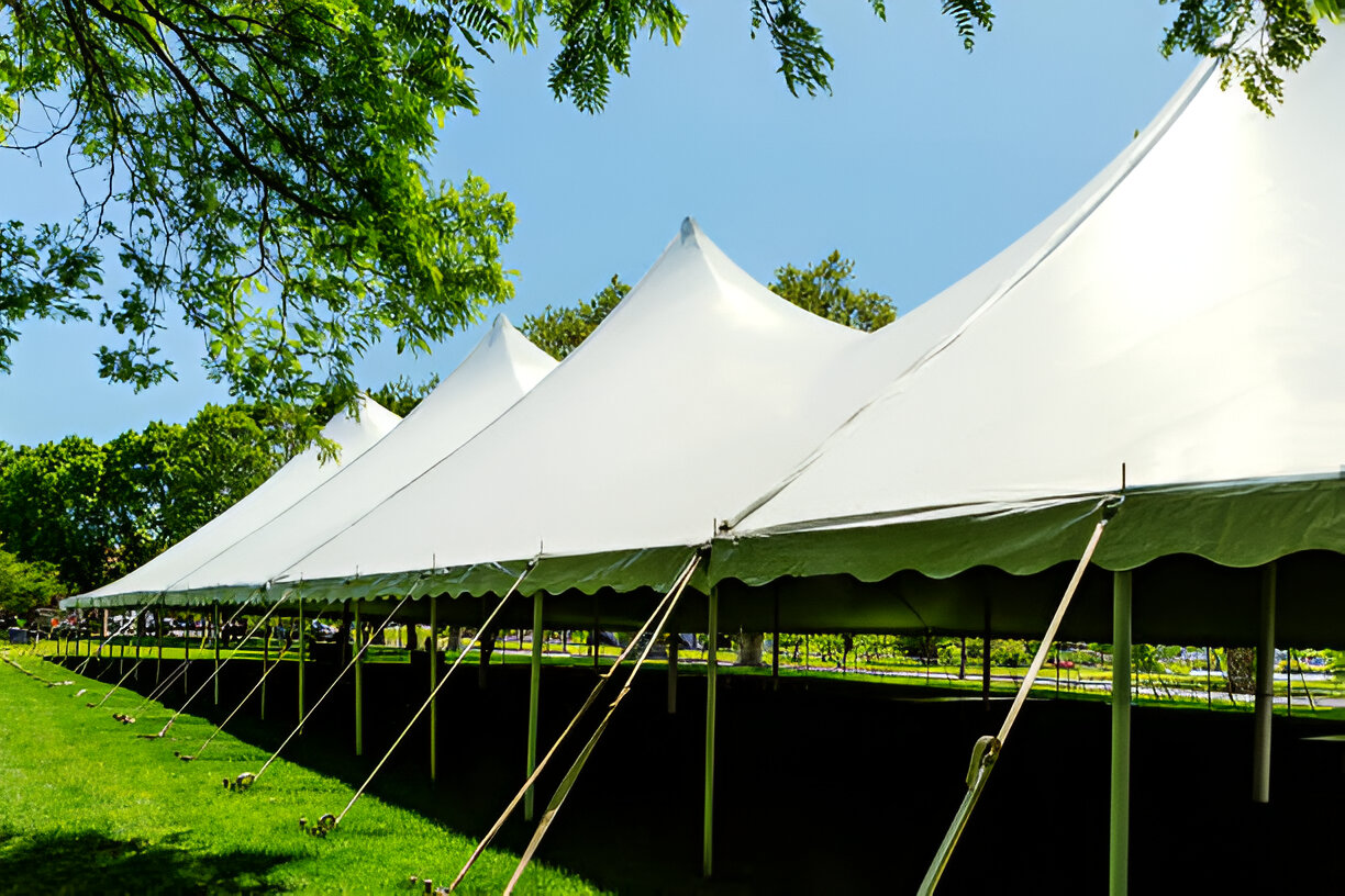 How to Protect Tents from Mold and Mildew - Rentastic Party - New York ...